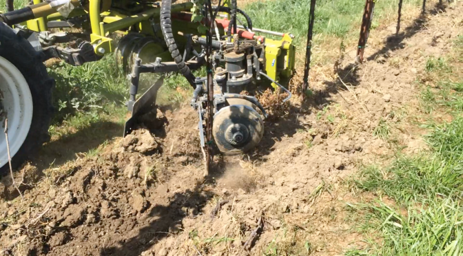 Under Vine Disks & Weeding Blades | Butler Equipment, Inc.